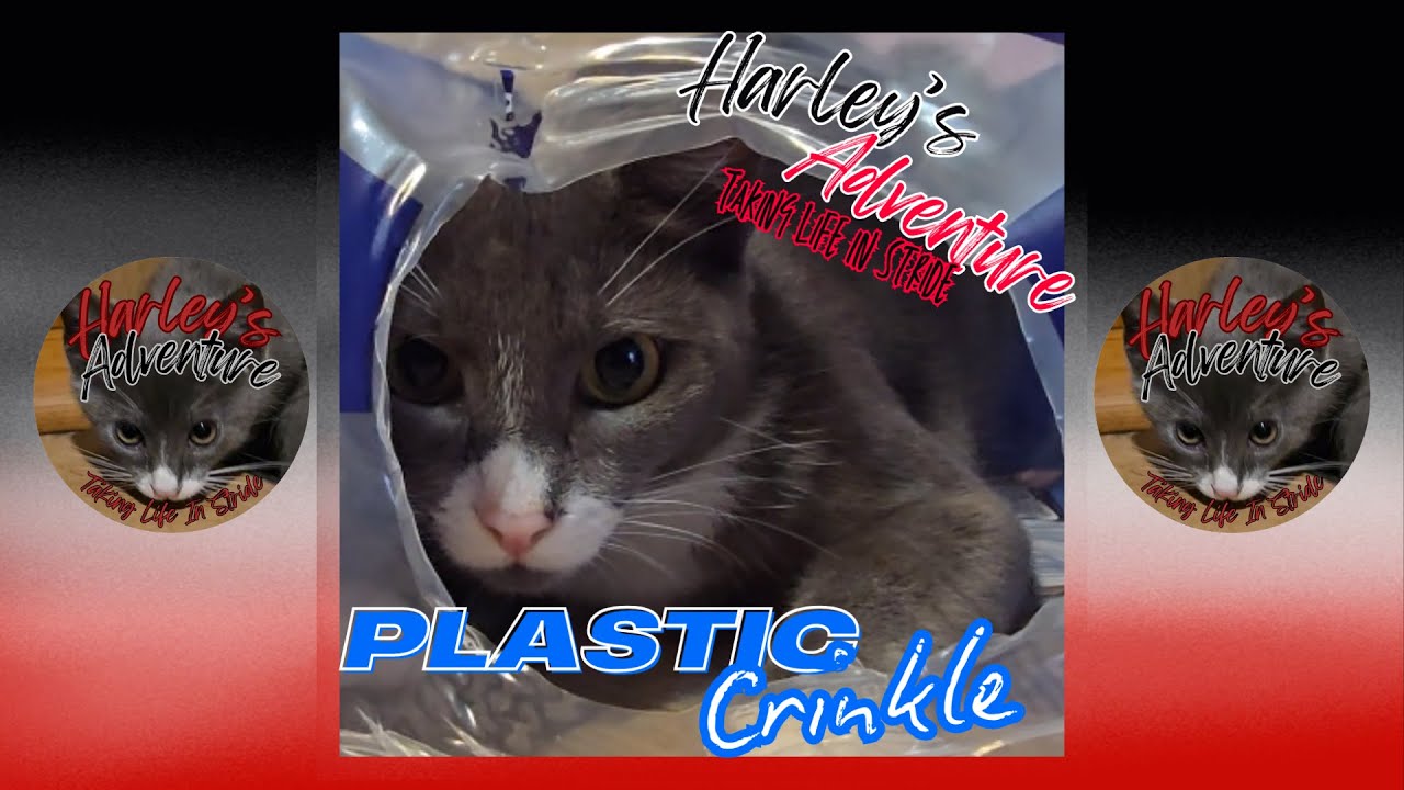 Plastic Crinkle Music Lyrics - YouTube