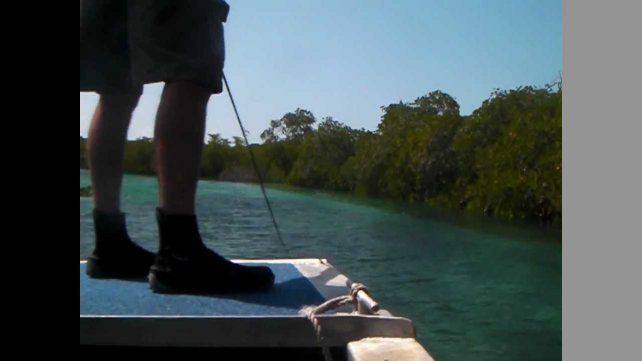 Jewell Reef Trip - Howick Island Visit - YouTube