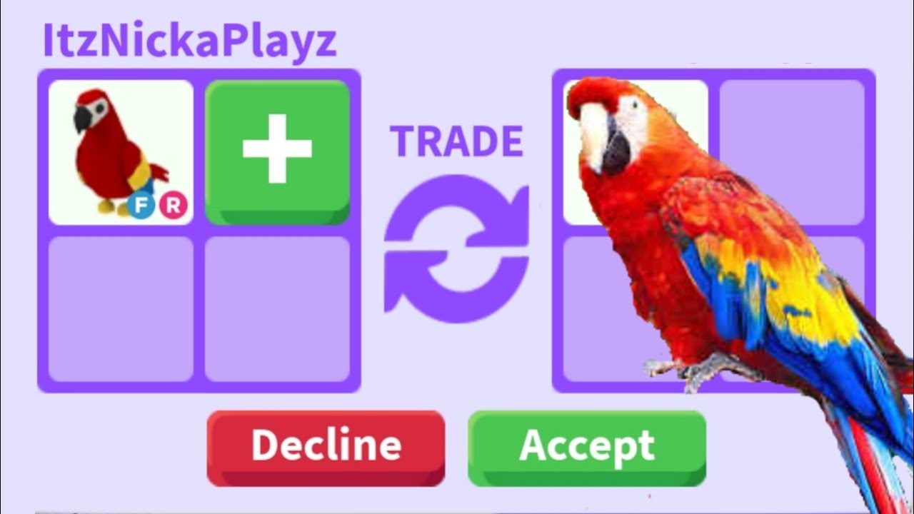 What People Trade For Fly Ride Parrot - YouTube