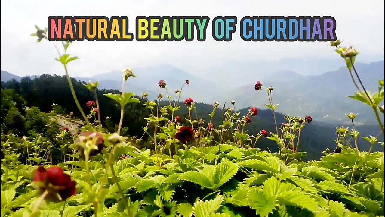 NATURAL BEAUTY OF CHURDHAR || MOST BEAUTIFUL PLACE || - YouTube