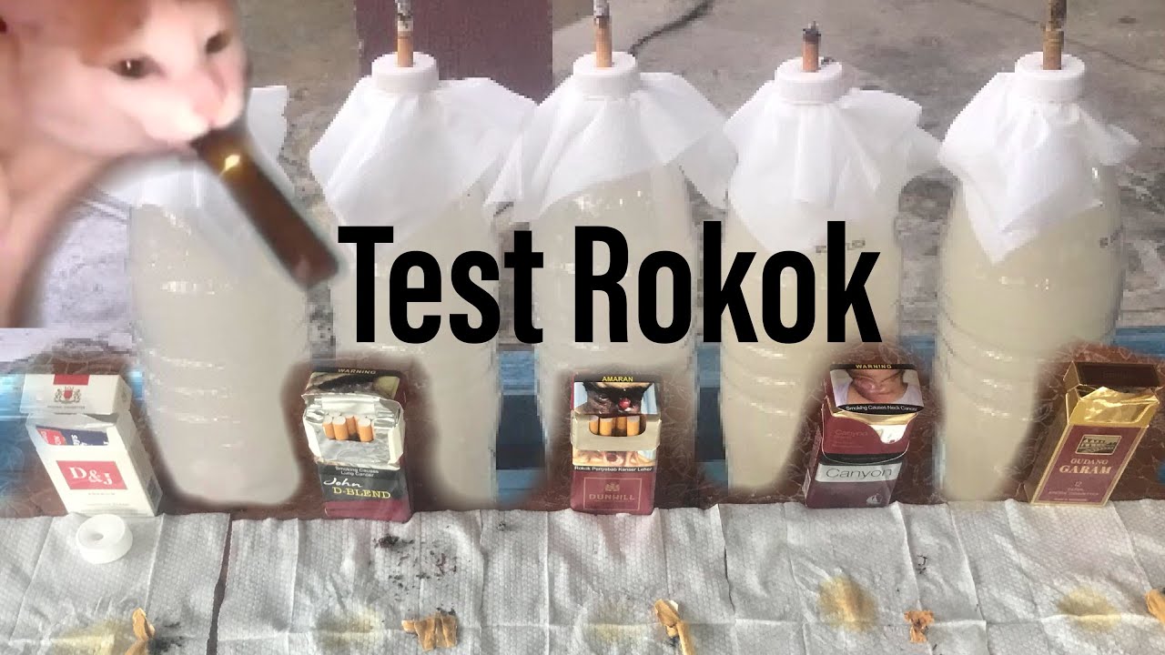 Perbezaan Tar Dalam Rokok - YouTube