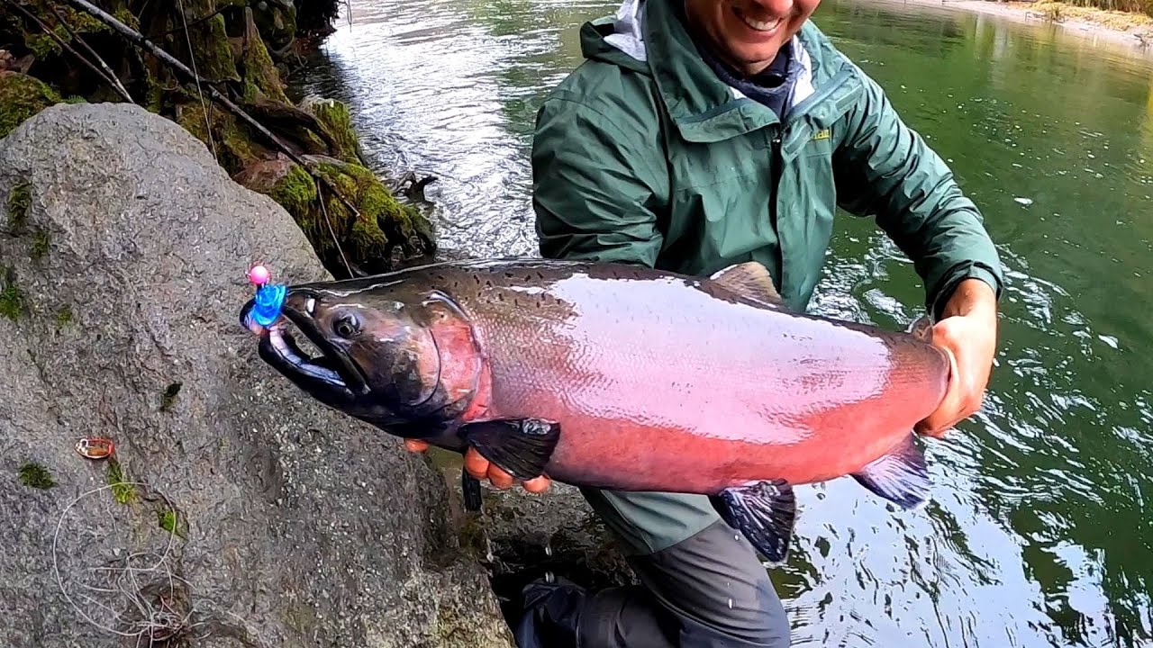 Amazing Coho Salmon Fishing On The River! - YouTube