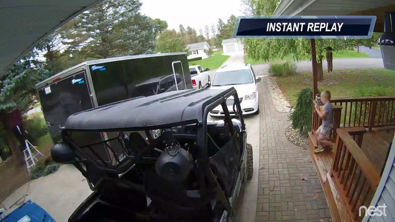 Tree Trimming Ladder Fail || ViralHog - YouTube