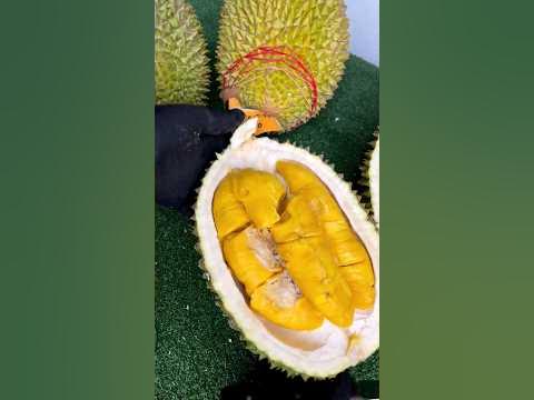 Unboxing Durian Musangking!!! - YouTube