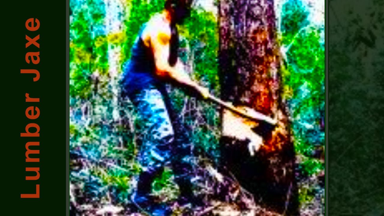 Felling Massive Hard Wood - Tuatahi Racing Axe's -- Core Strengthening ...