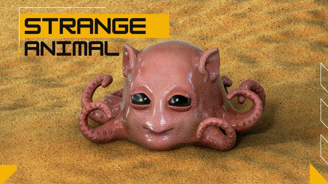 Unbelievable! Check Out the Strangest Animals on Earth You've Never ...