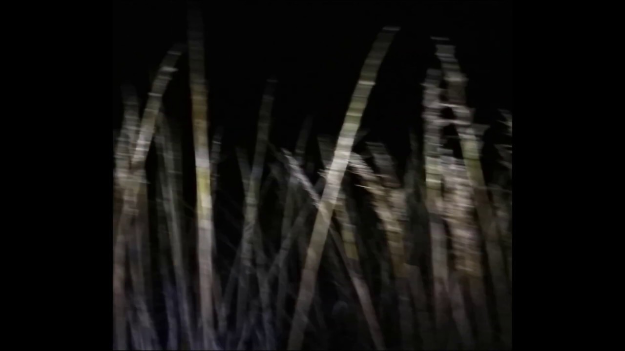 Haunted Gettysburg's Triangular field! Not a Bug!!! - YouTube