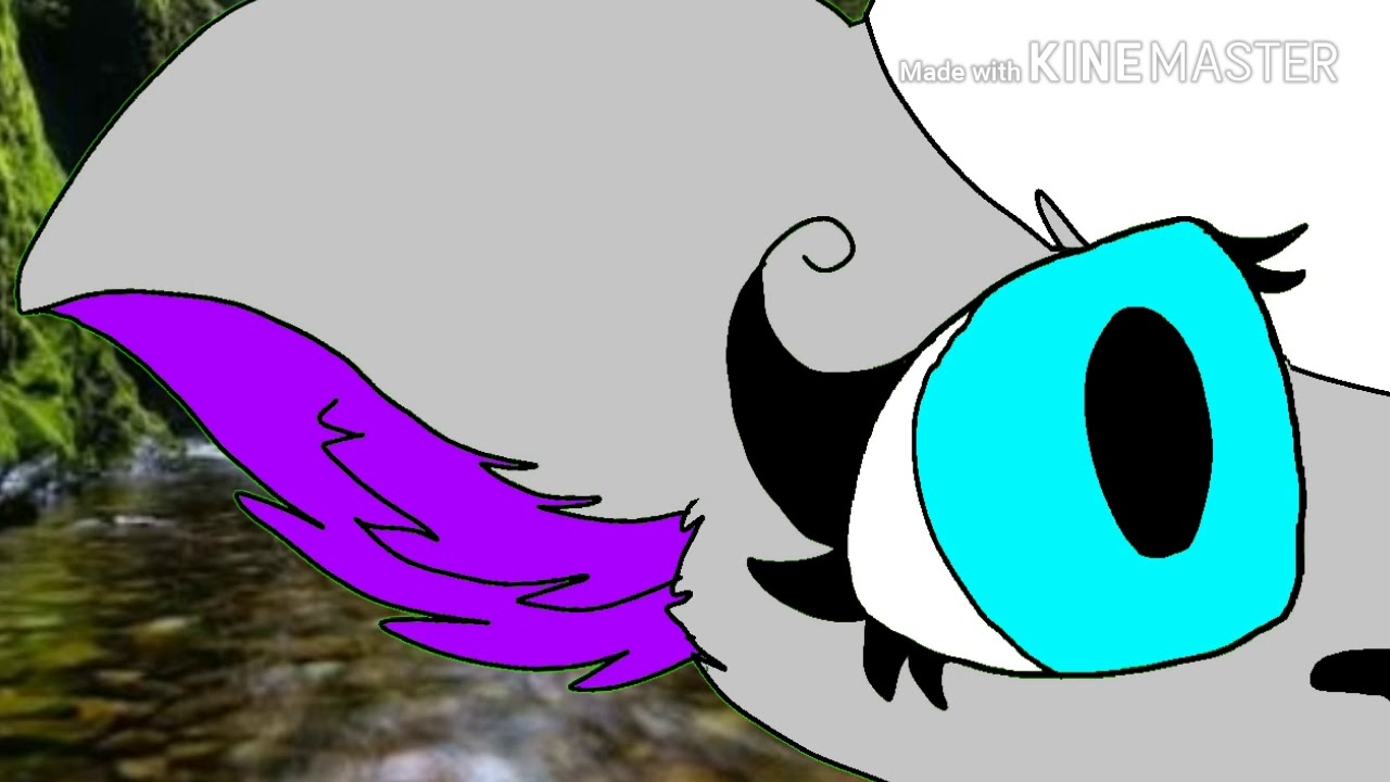 Why love me meme (for rox the fox) /flipaclip/ - YouTube