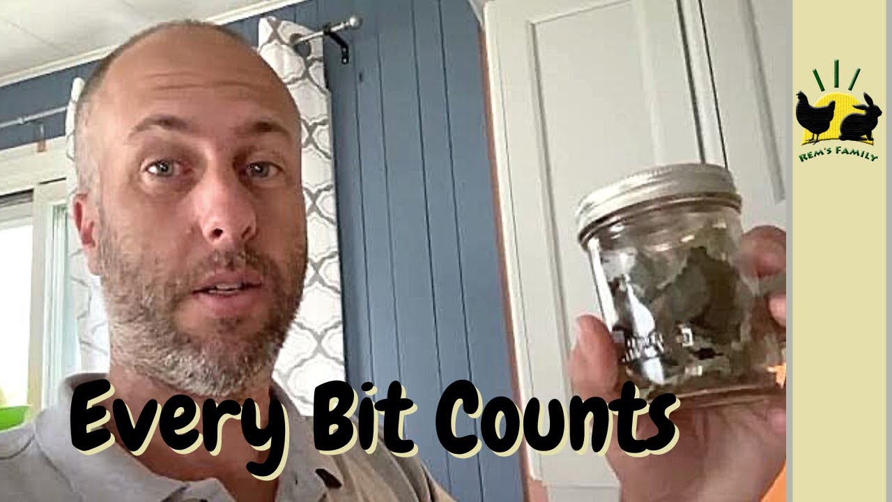 Every Bit Counts Challenge: Preserving Eggs & Zucchini from Day 1 to ...
