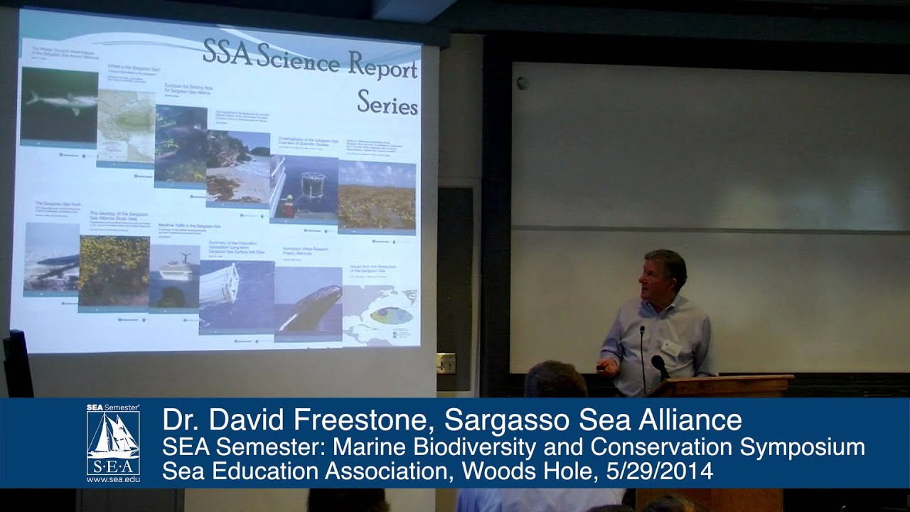 Dr. David Freestone, Guest Speaker @ 2014 Sargasso Sea Symposium - YouTube