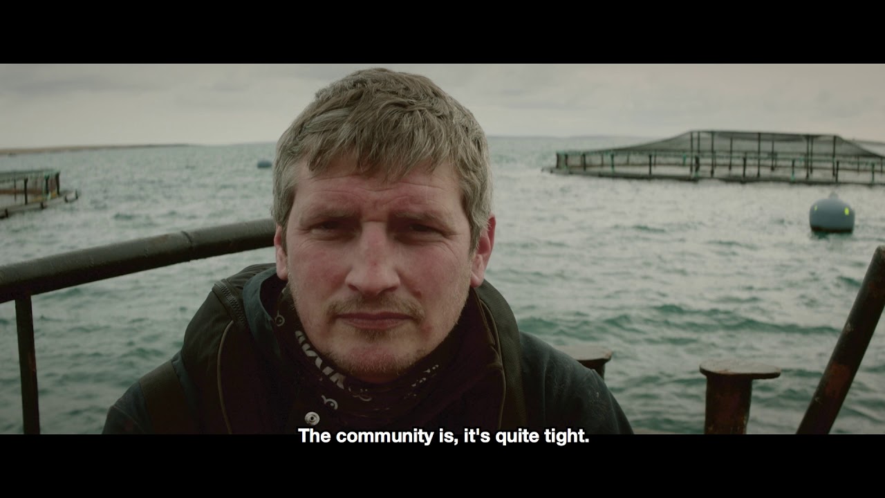 Cooke Aquaculture Scotland - Westray, Orkney - YouTube