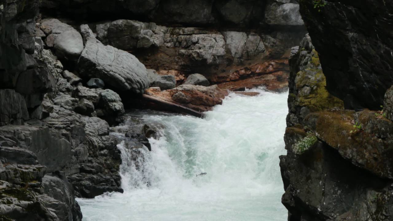 Stamp Falls - YouTube