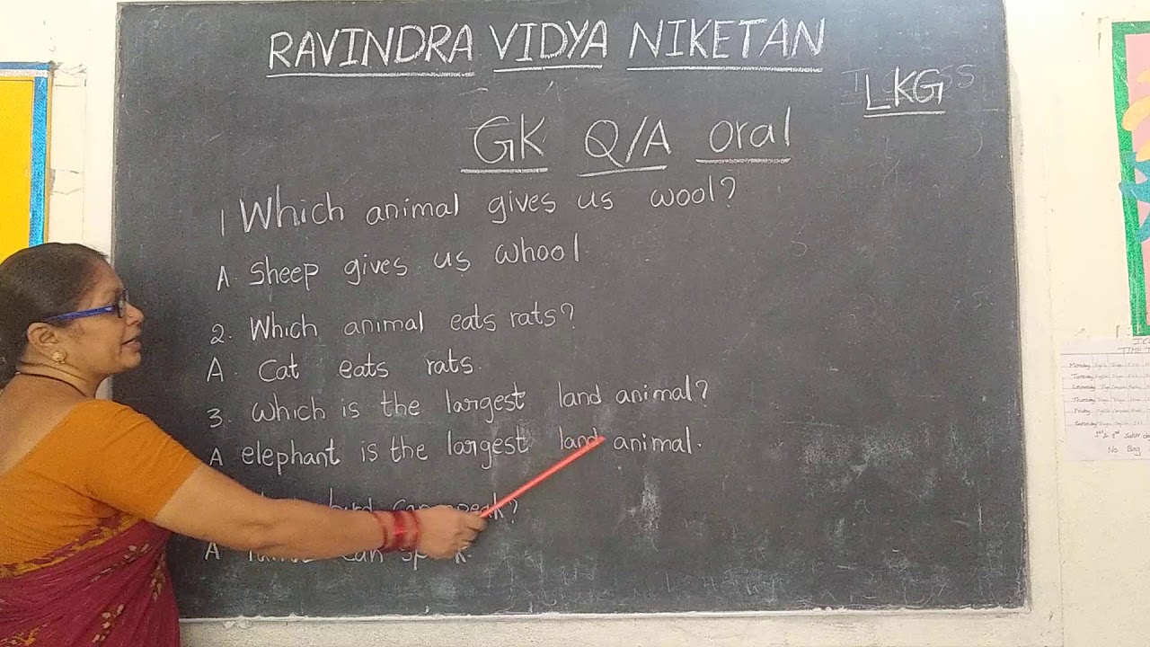 G k Oral Questions For Lkg Students YouTube g-k-oral-questions-for-lkg-students-youtube