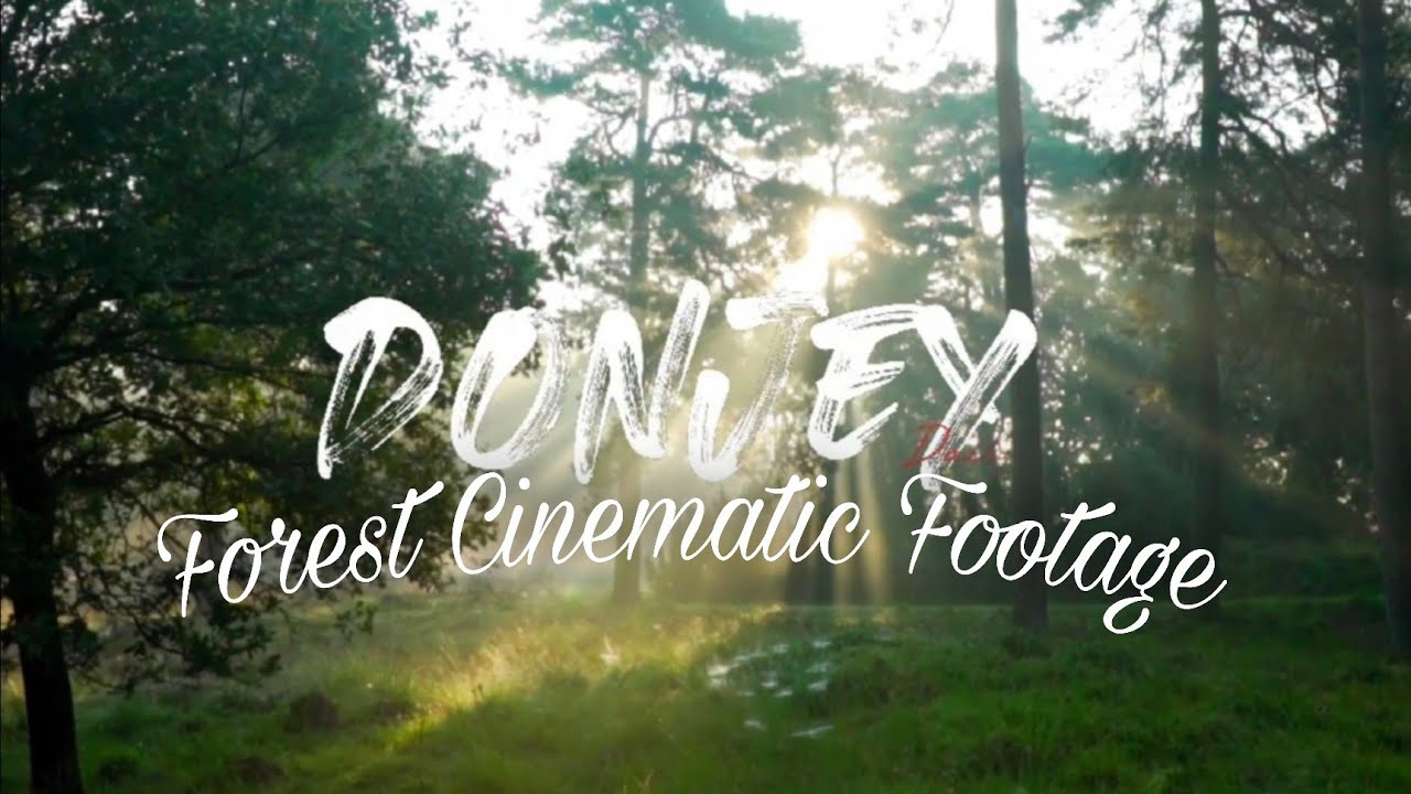 #DonJey#forest Short Film Forest View Cinematic Footage - YouTube