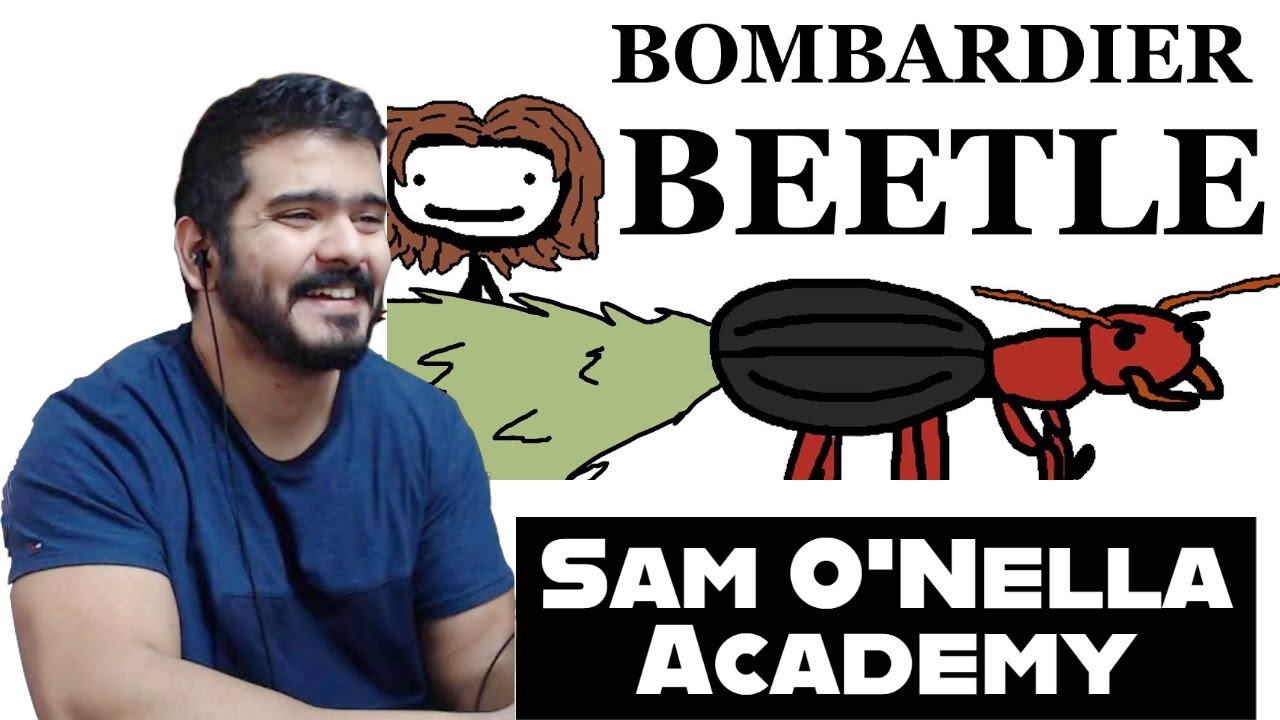 The Bombardier Beetle (Sam O'Nella Academy) reaction - YouTube