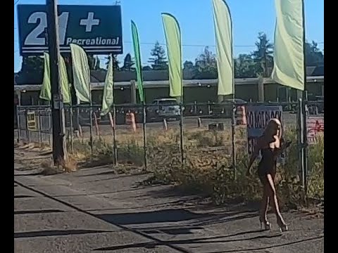 Check Out These Hot Seattle Girls Gone Wild On Aurora Ave! - YouTube