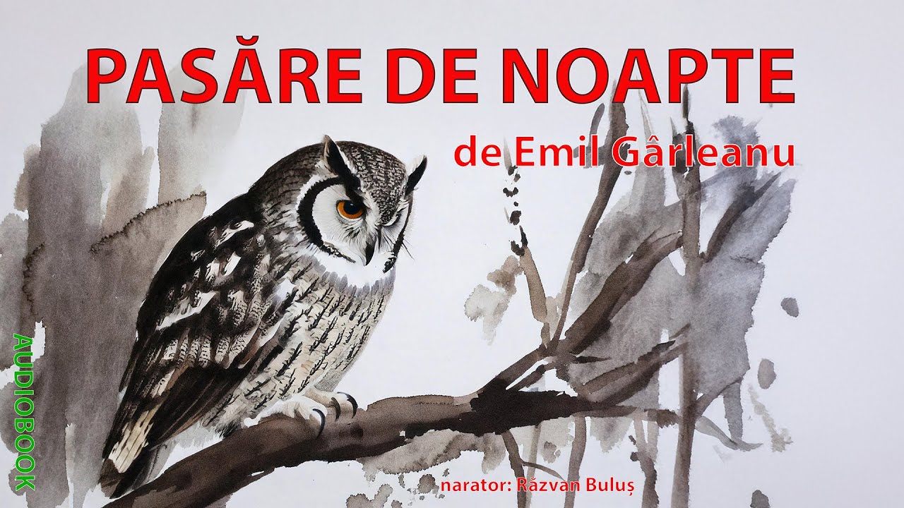 PASĂRE DE NOAPTE - Emil Gârleanu | AudioBOOK de Razvan Bulus - YouTube