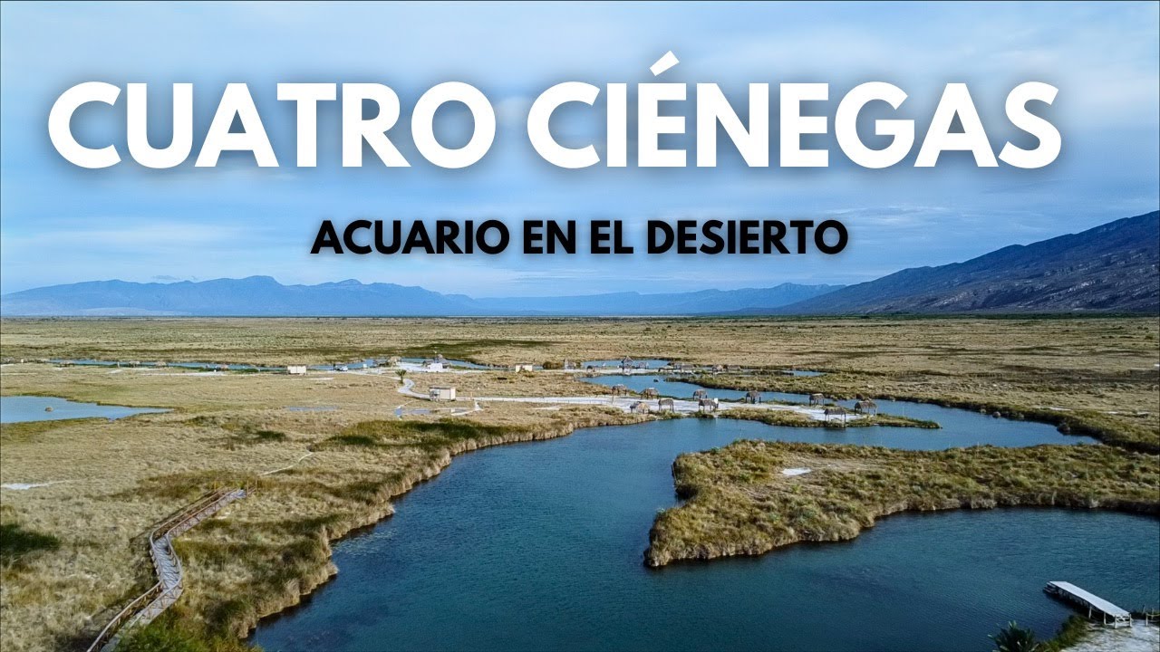 Cuatro Ciénegas. Un lugar único en el mundo. Patrimonio natural de ...