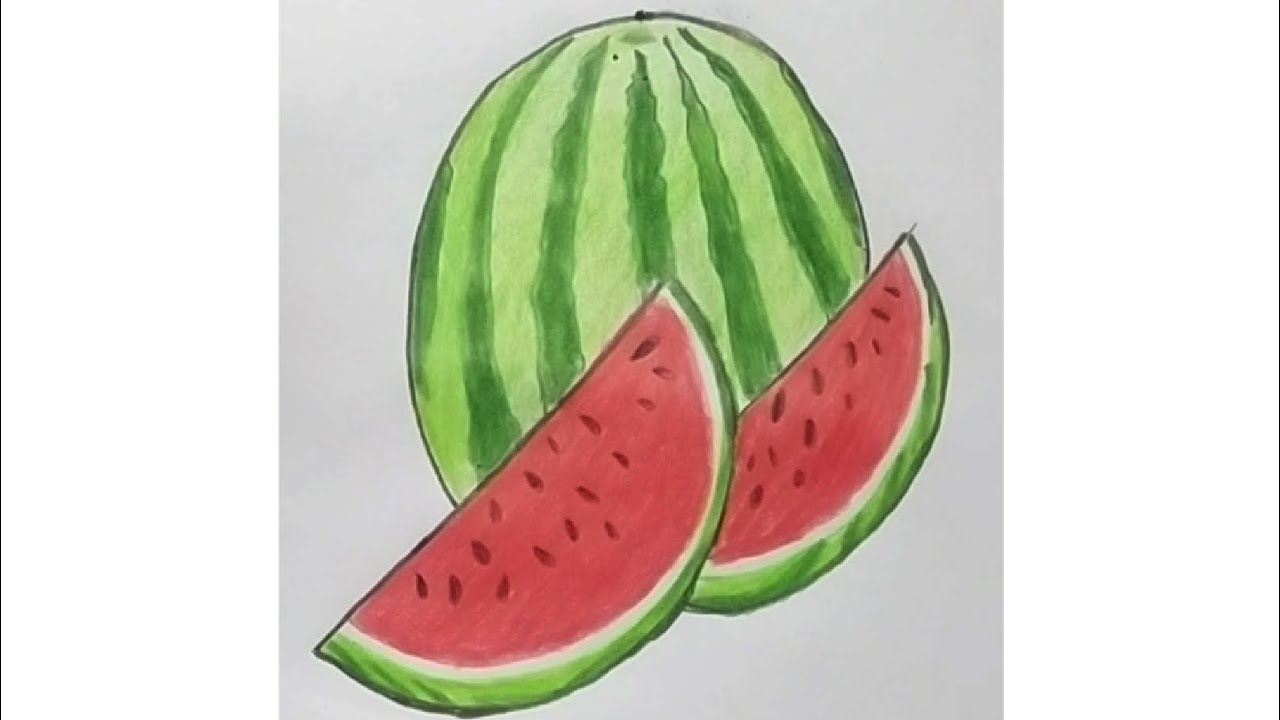 Watermelon Drawing & Coluring🍉| Pencil Colour Drawing Tutorial - YouTube