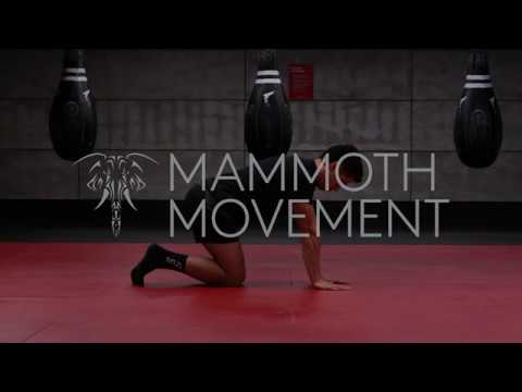 First Knuckle Push Ups - YouTube