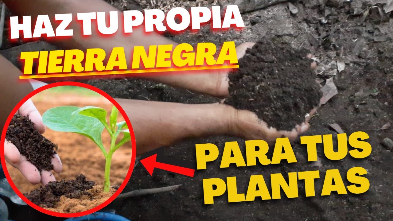 Planos De Capas De Mantillo Caseras