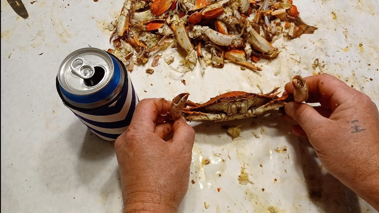 Enjoy this steamed blue crab picking video. - YouTube