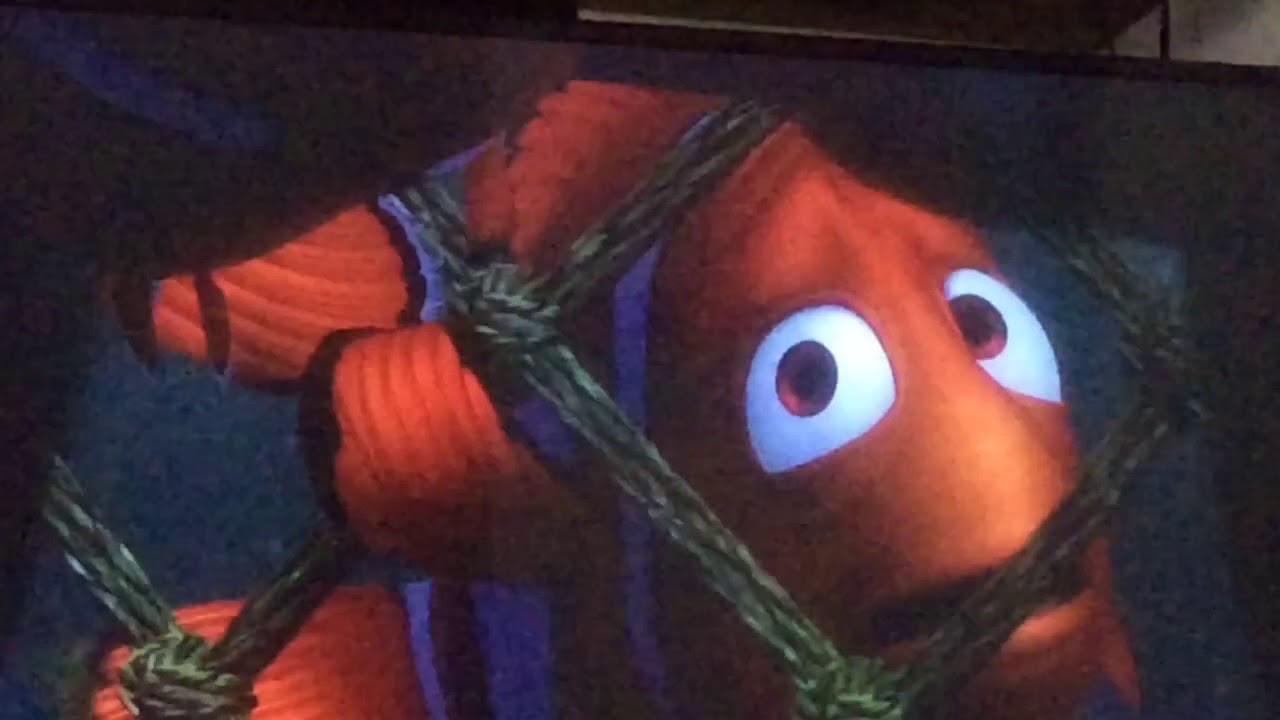 Alla ricerca di Nemo finale - YouTube