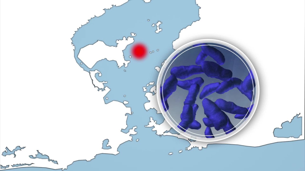 Rio’s water infected with ‘super bacteria’ - YouTube