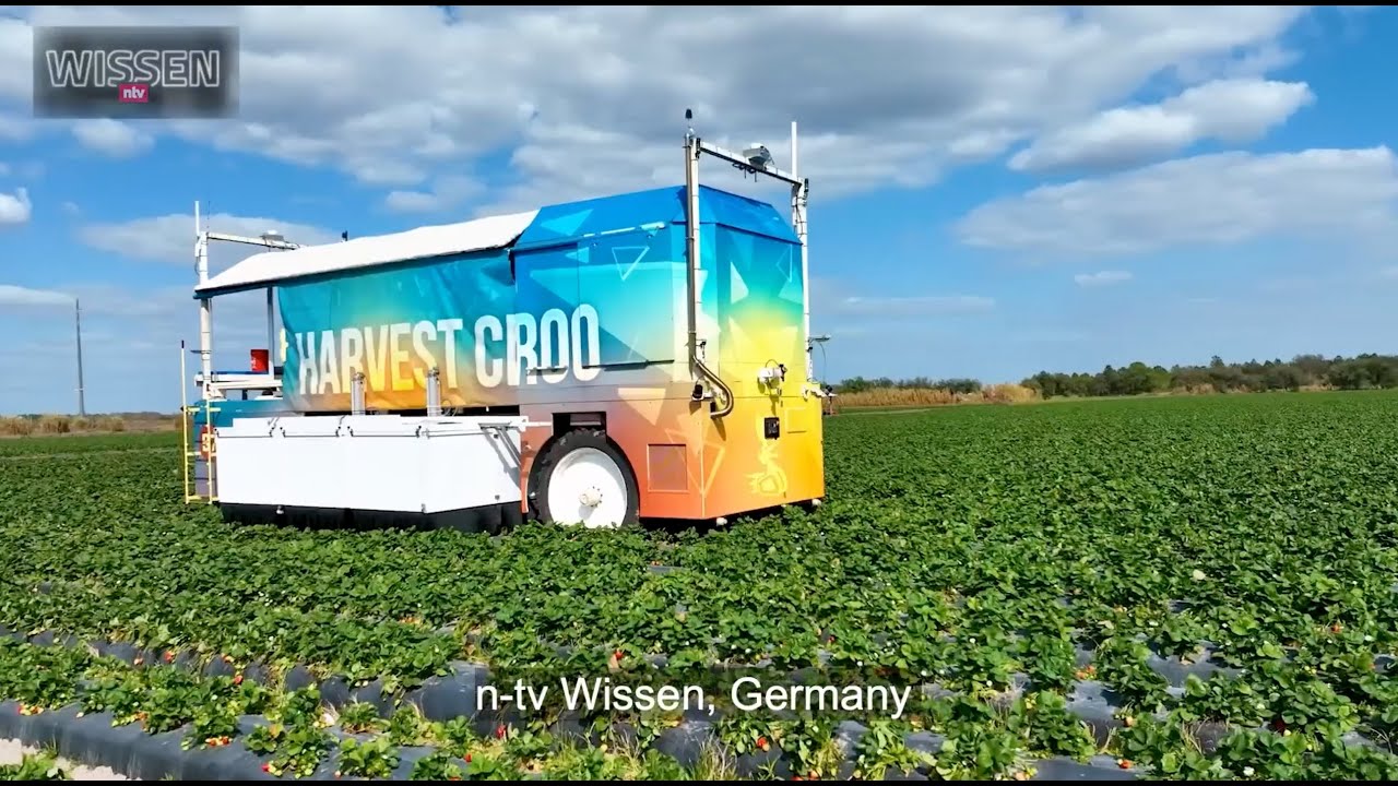Autonomous Robotic Strawberry Harvesting - Harvest CROO, Tampa Florida ...