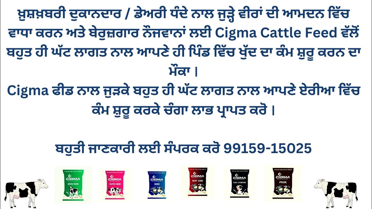 Cigma Feed - YouTube