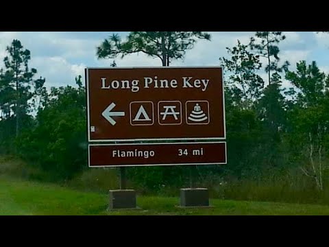 Long Pine Key Campground Tour @ Everglades National Park - YouTube