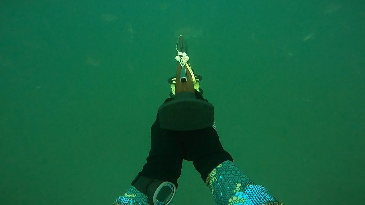 Mississippi Artificial Reef Red Snapper Spearfishing and Fishing - YouTube