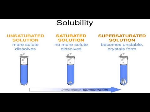 1. Intro to Solubility | HSC - YouTube
