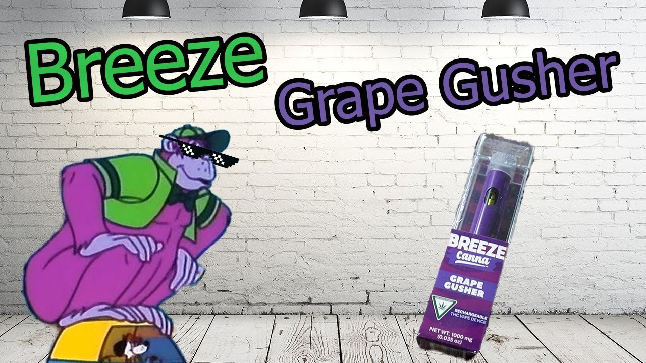Heavy Hitter or Quitter Breeze Grape Gusher 1G Disposable - YouTube