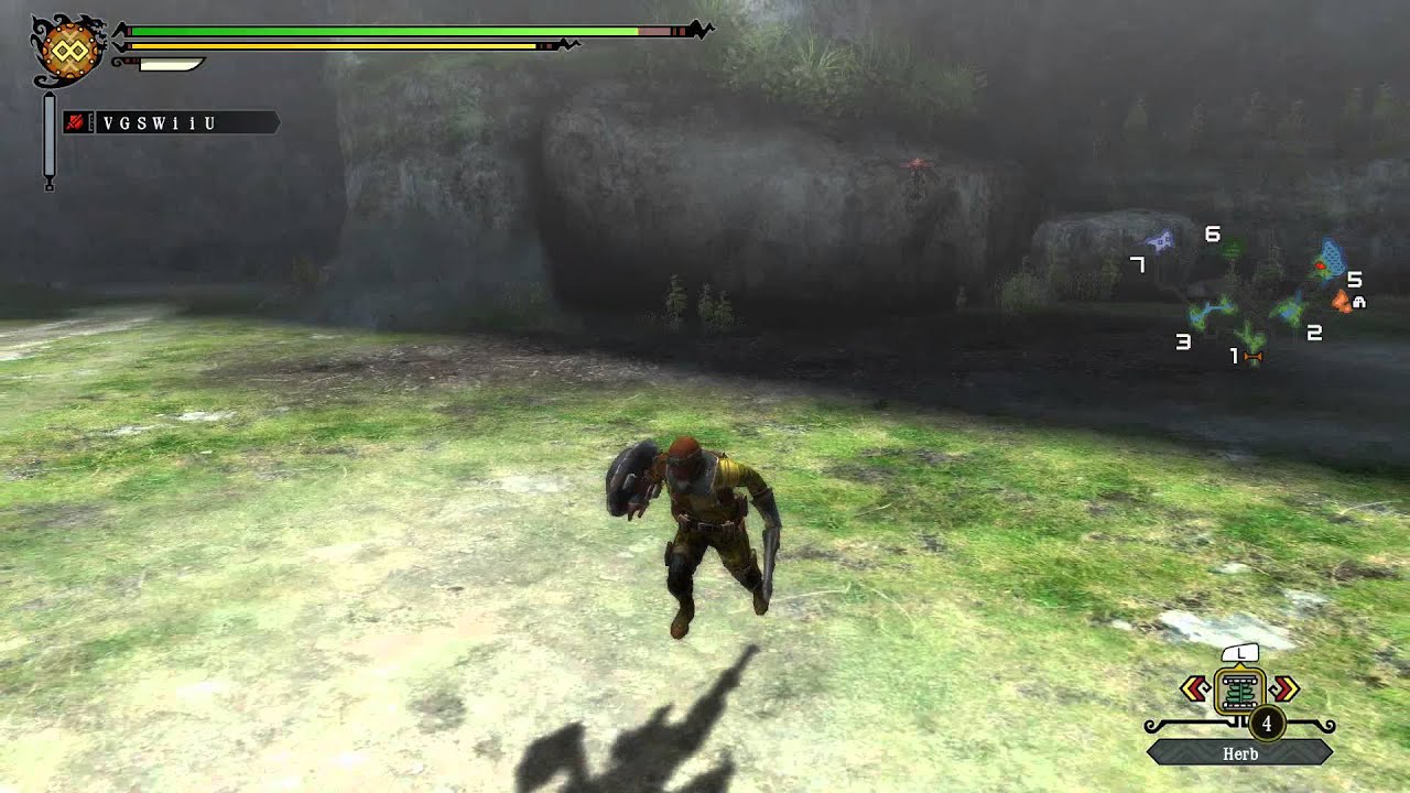 Monster Hunter 3 Ultimate - Moga Woods: Hunter Lessons, Bnahabra Killed ...