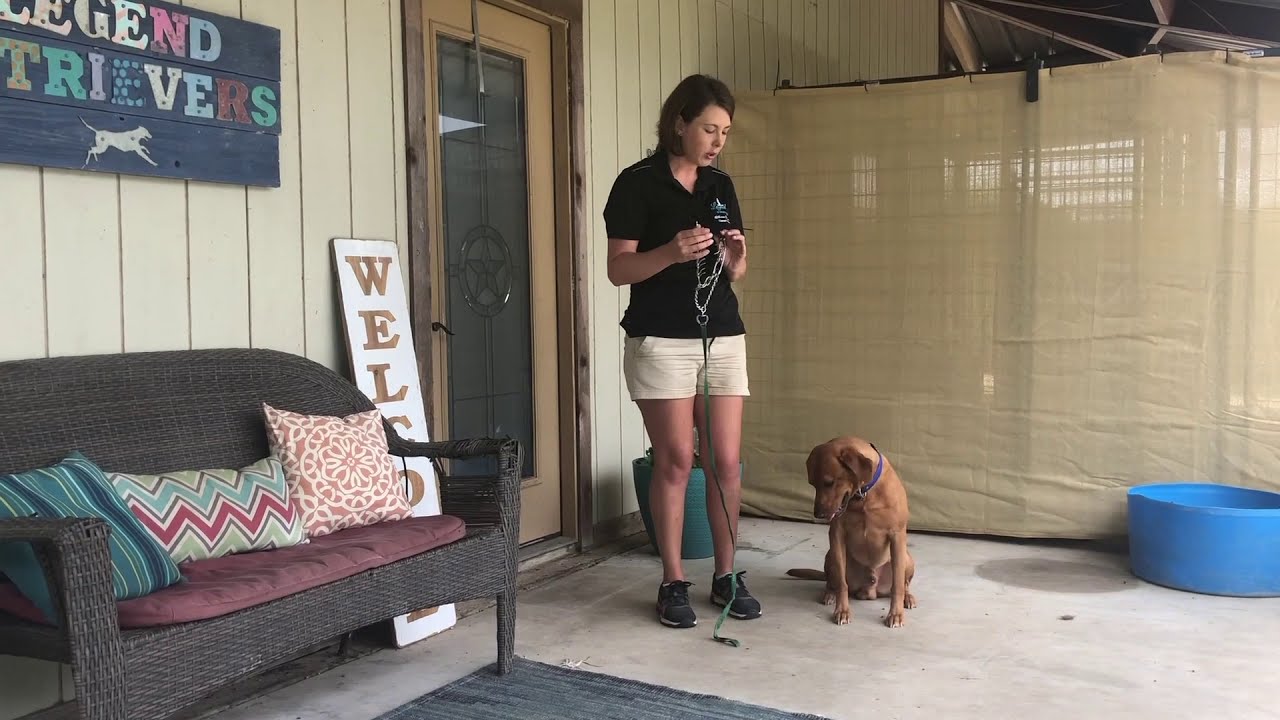 Legend Go Home- Part 1 - YouTube