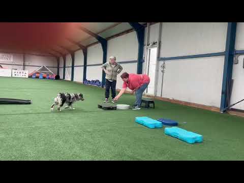 pyrshep Calà ️ body awareness in Zeewolde 2024 - YouTube