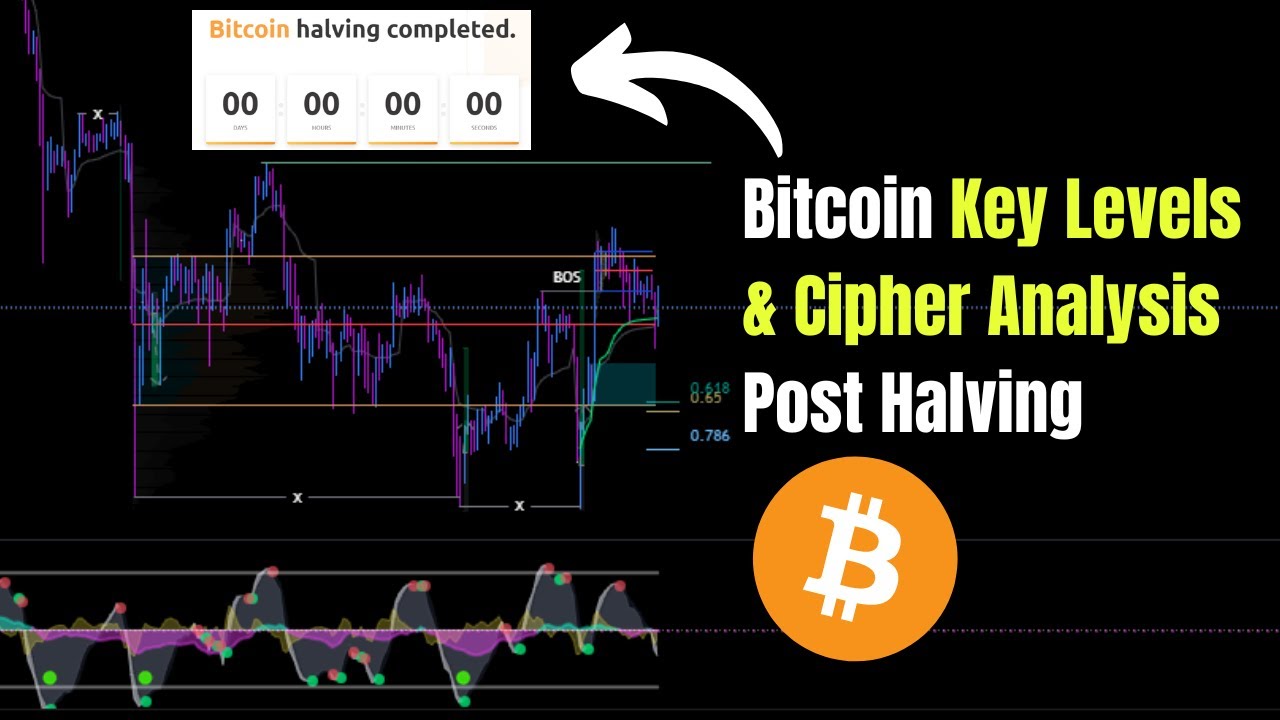 Bitcoin Key Levels & Market Cipher Analysis (Post Halving Pump Or Dump) - YouTube