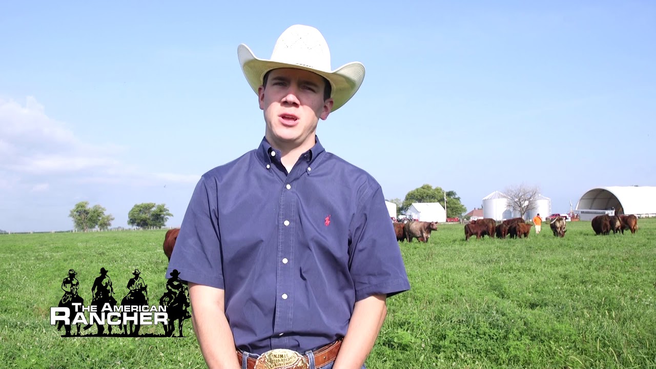 The American Rancher featuring American Shorthorn Association 2017 ...