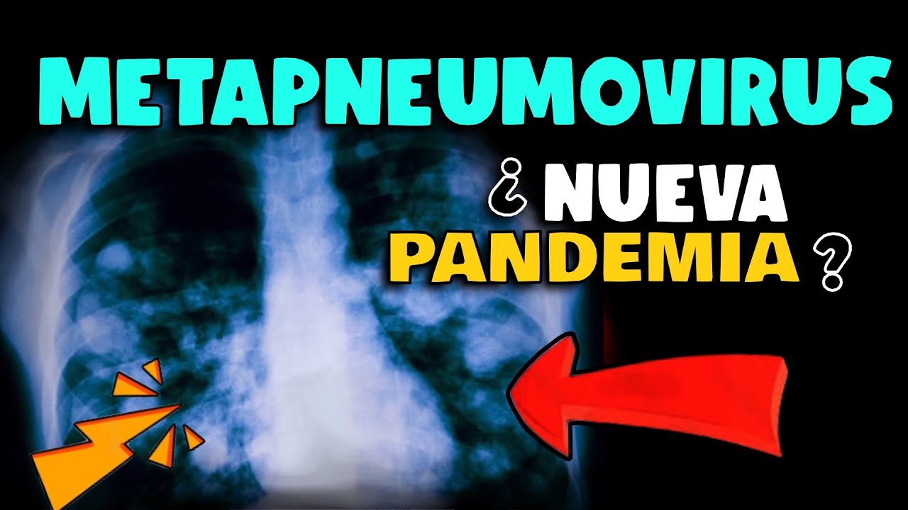 ALERTA ⚠️ CIENTÍFICOS REVELAN CARACTERÍSTICAS A CONSIDERAR SOBRE LOS ...