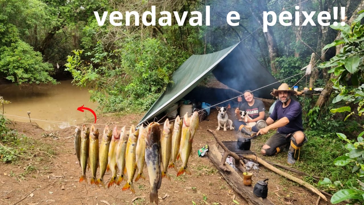 O vendaval veio trazendo muito peixe! Acampar e contar com a sorte ...