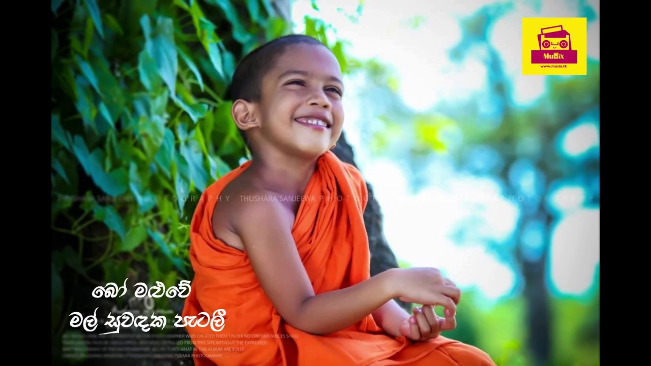 Bo Maluwe Mal Suwandata Petali - Sanath Nandasiri - YouTube