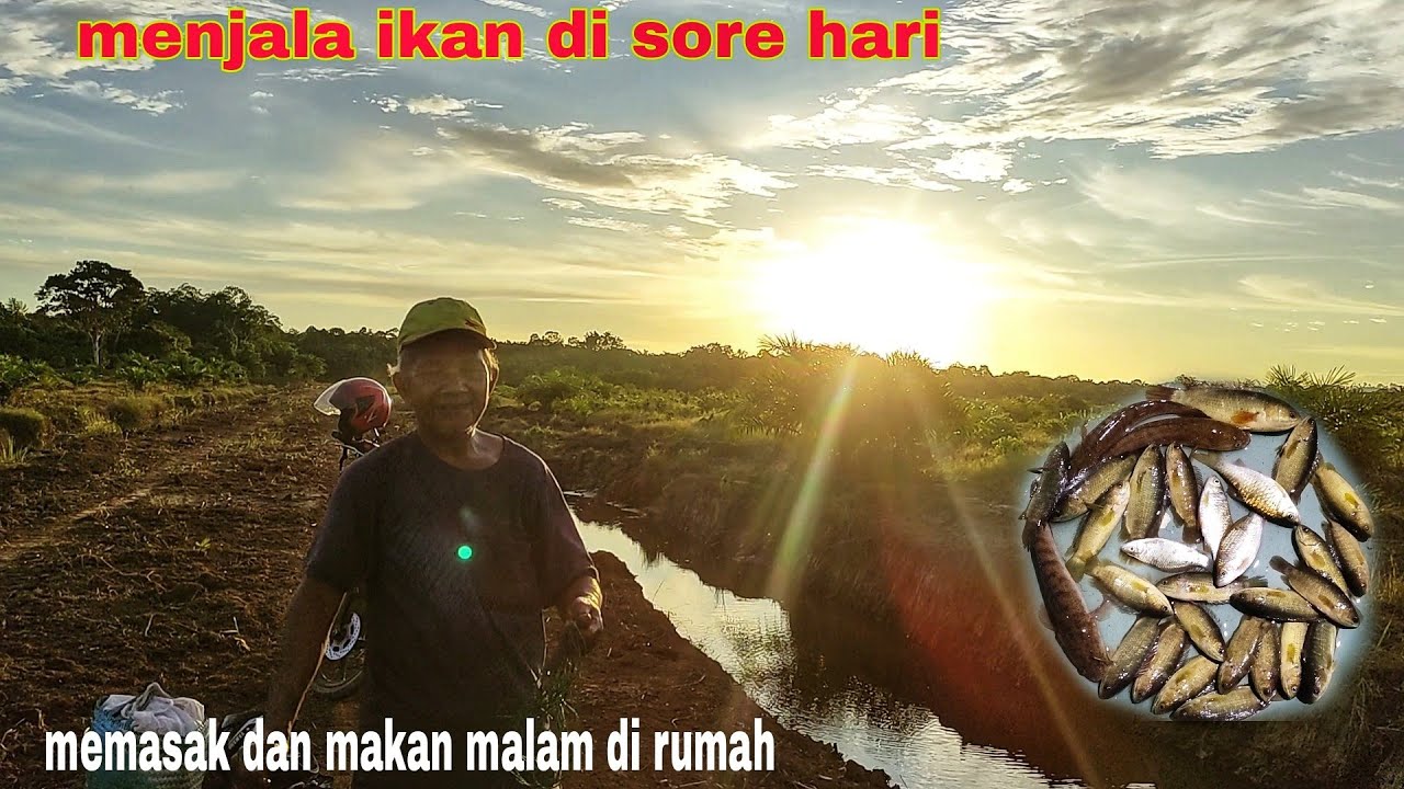 PERFECT SUNSET DI LOKASI PERKEBUNAN || MENJALA IKAN DI PARIT PERKEBUNAN ...