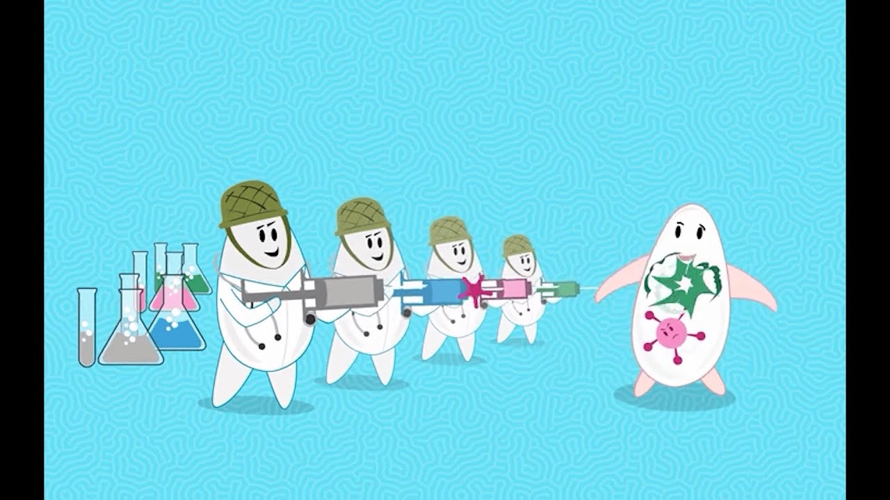 How does HIV work? (HIV/AIDS) - YouTube