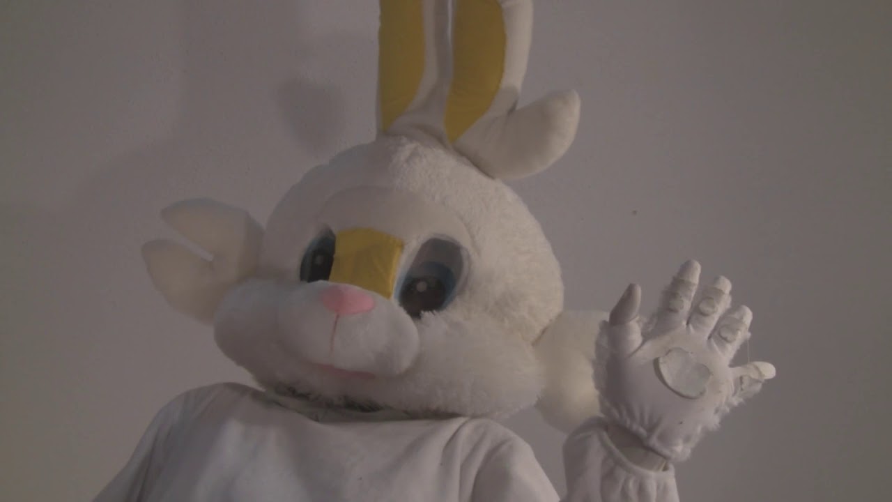 Fursuiting: Anthro Dynamax Scorbunny Camera Stomp (Commissioned Video ...