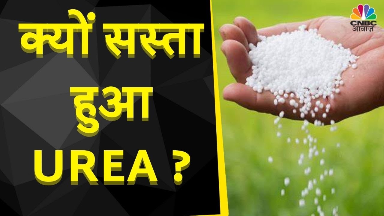 Urea Price Today | भारत को कैसे मिल रही है सस्ते दाम में यूरिया? किसकी ...