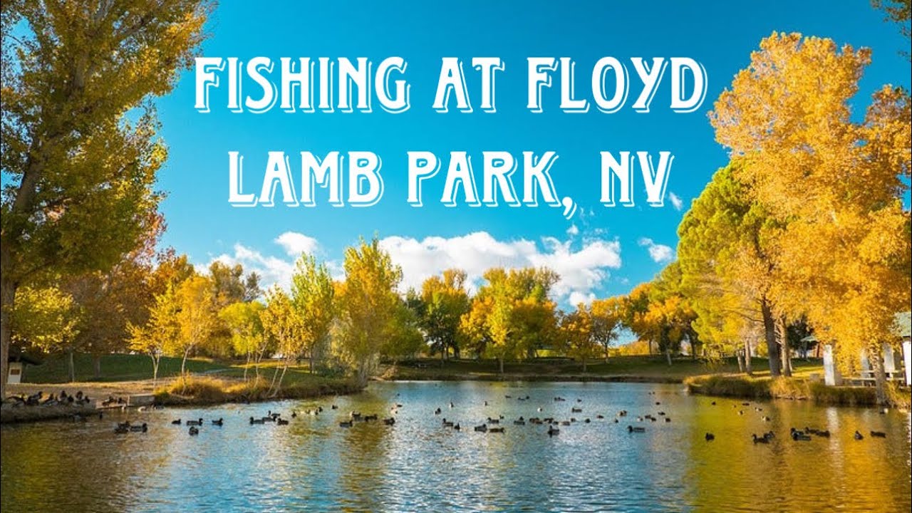 Fishing at Floyd Lamb Park (Nevada) - YouTube