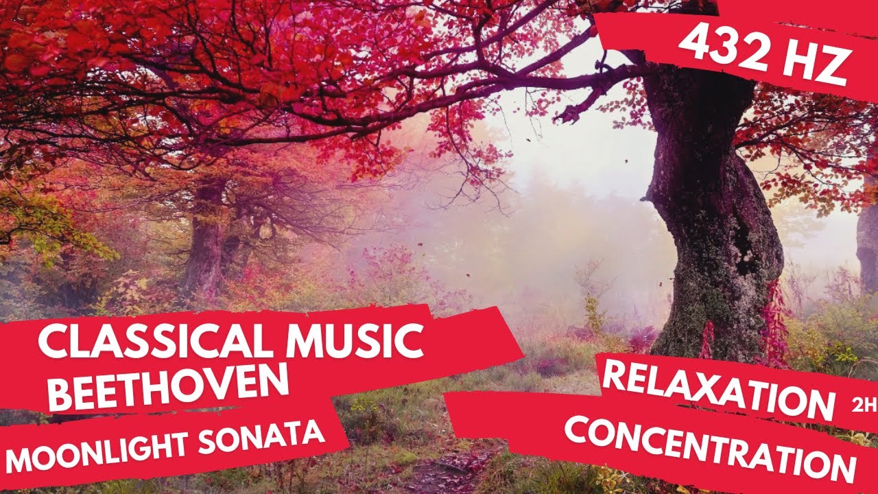 Classical music 432 hz to concentrate, relax: Beethoven Moonlight ...