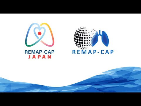 REMAP－CAP JAPAN紹介動画（英語翻訳版） - YouTube