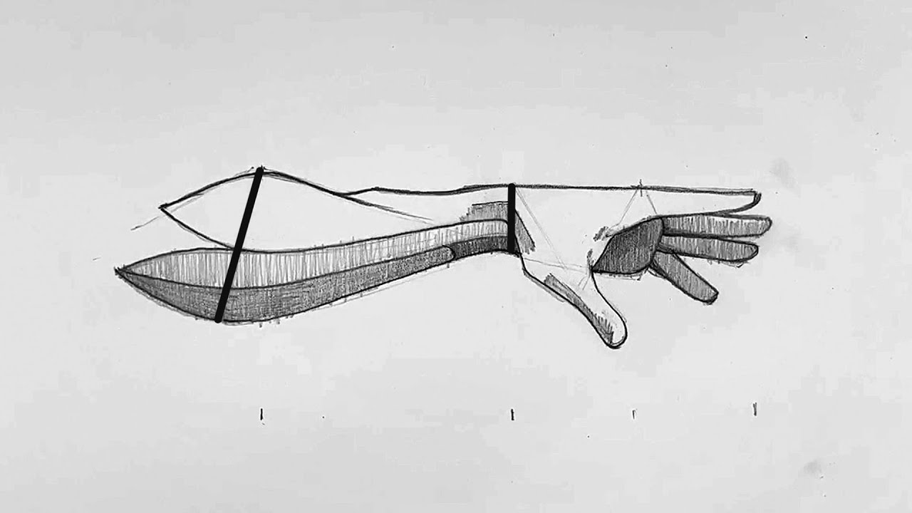 How To Draw Hands, Wrists And Forearms | Draw Arms Easy | Draw Hands ...